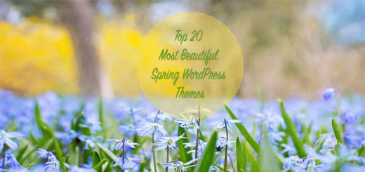 Top 20 Most Beautiful Spring WordPress Themes - SmallEnvelop
